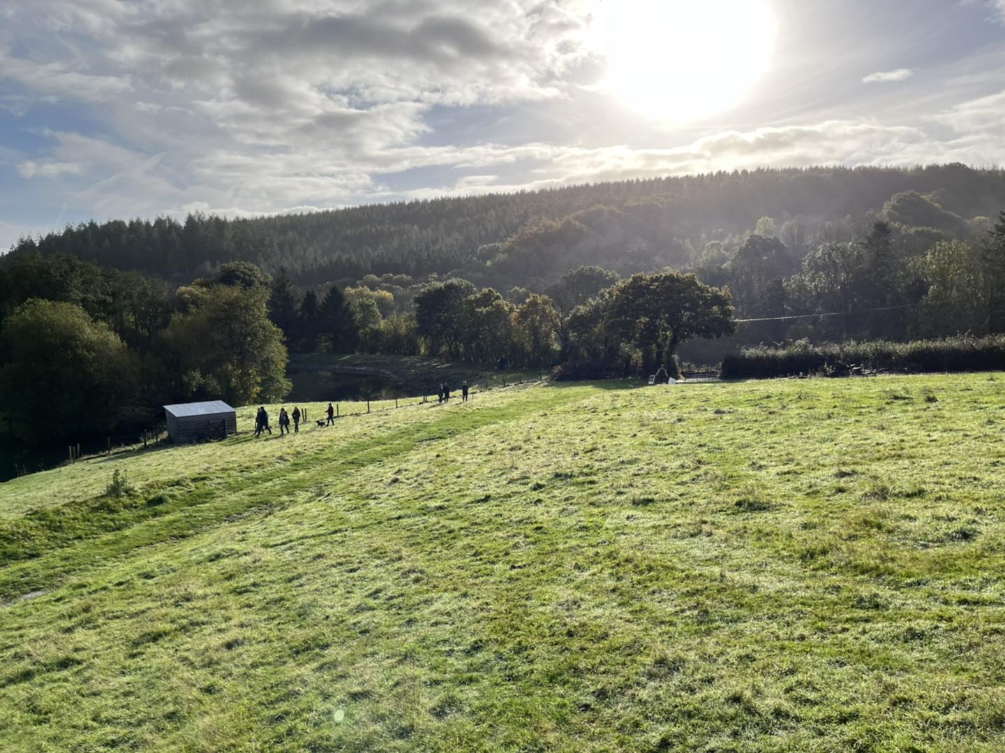 Shoot Gallery | Burrington Game