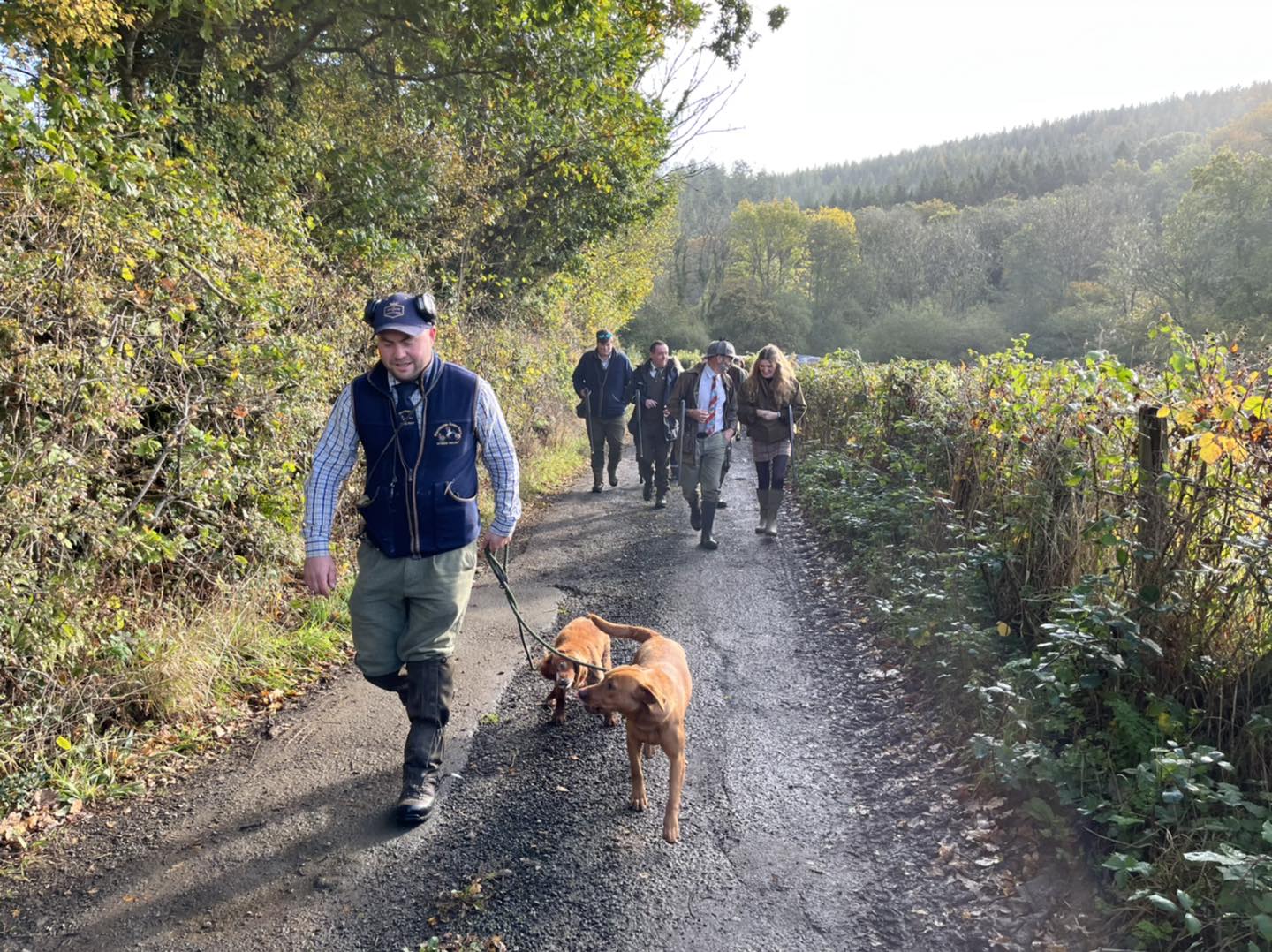 Shoot Gallery | Burrington Game